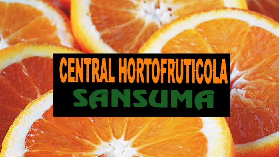 NARANJAS DE EXTREMADURA SANSUMA CENTRAL HORTOFRUTÍCOLA | Extremaduradavida