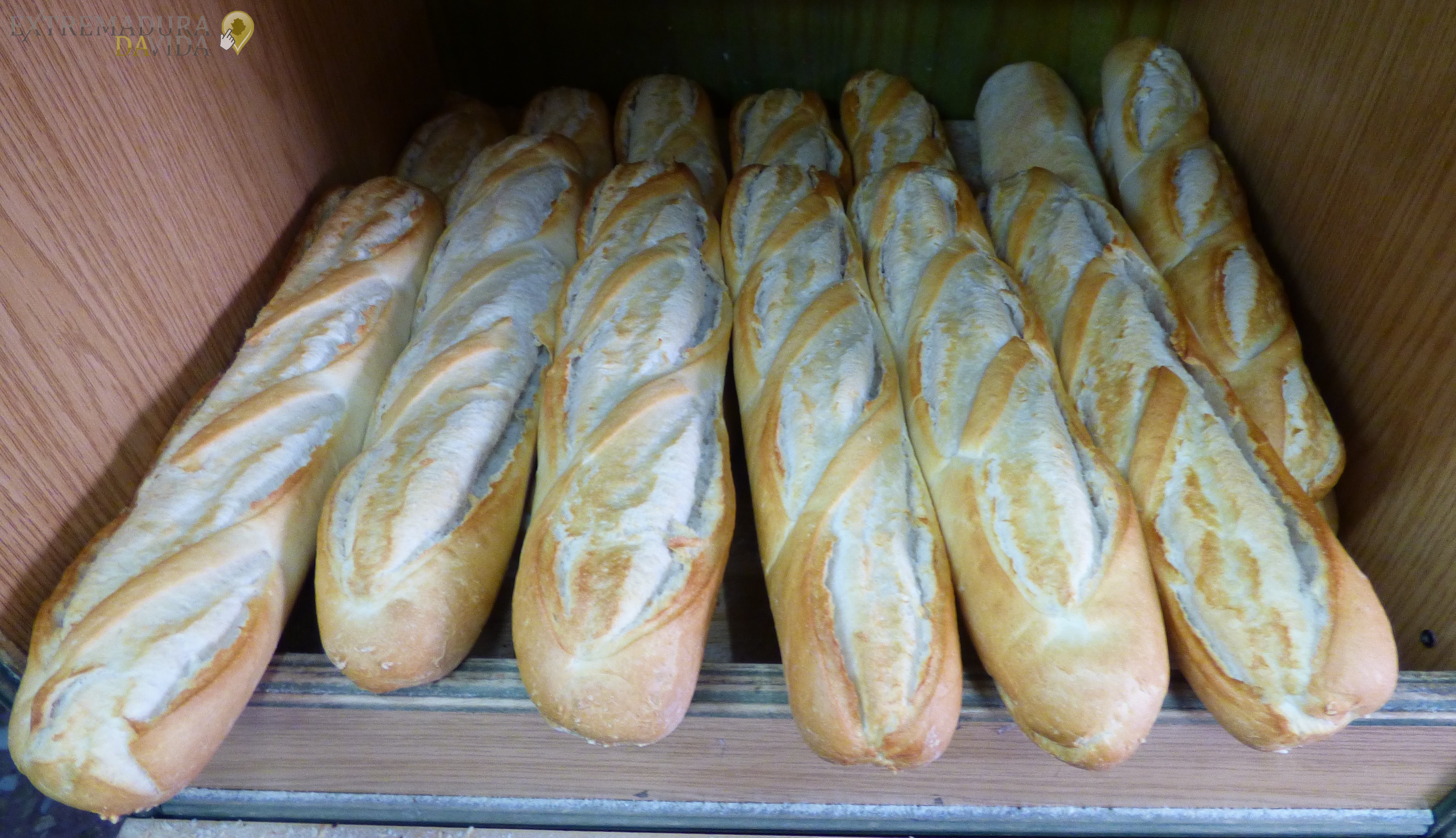 MULTITIENDA TU RINCÓN DEL PAN MÉRIDA - Extremaduradavida